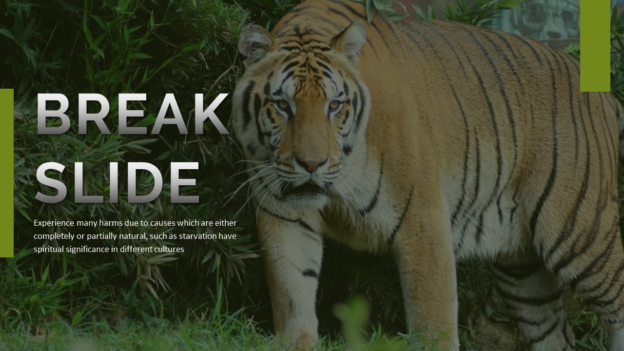 Wildlife Animal Presentation Template, Presentation Templates ...