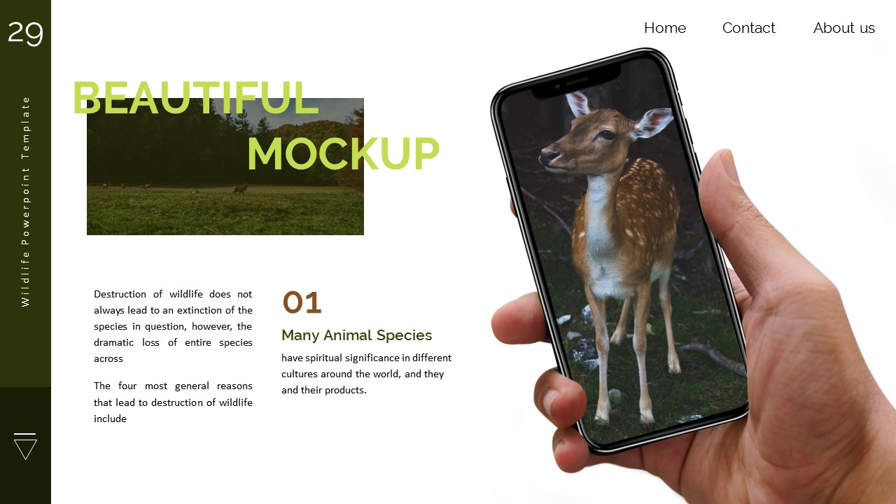 Wildlife Animal Presentation Template, Presentation Templates ...