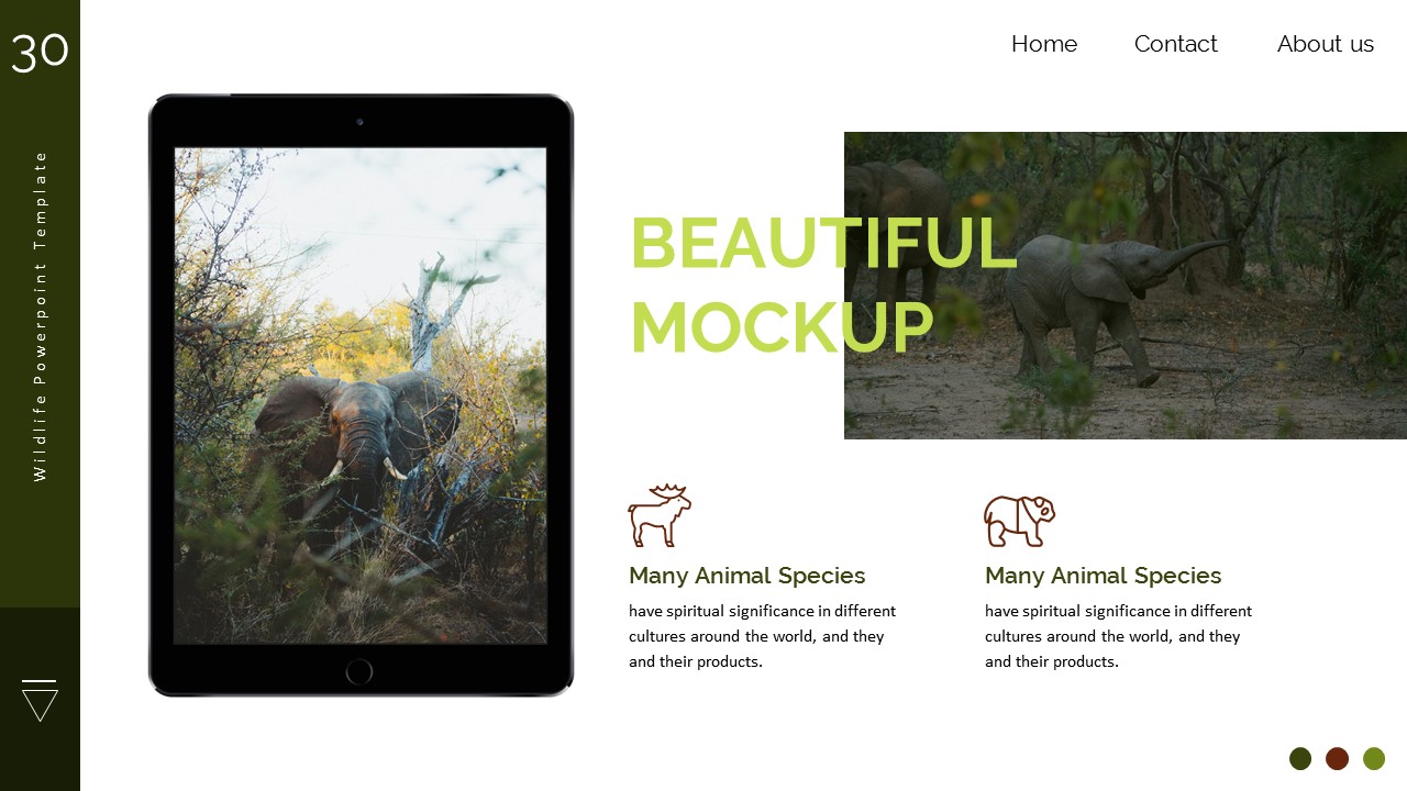Wildlife Animal Presentation Template, Presentation Templates ...