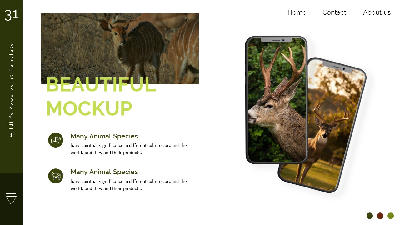 Wildlife Animal Presentation Template, Presentation Templates ...