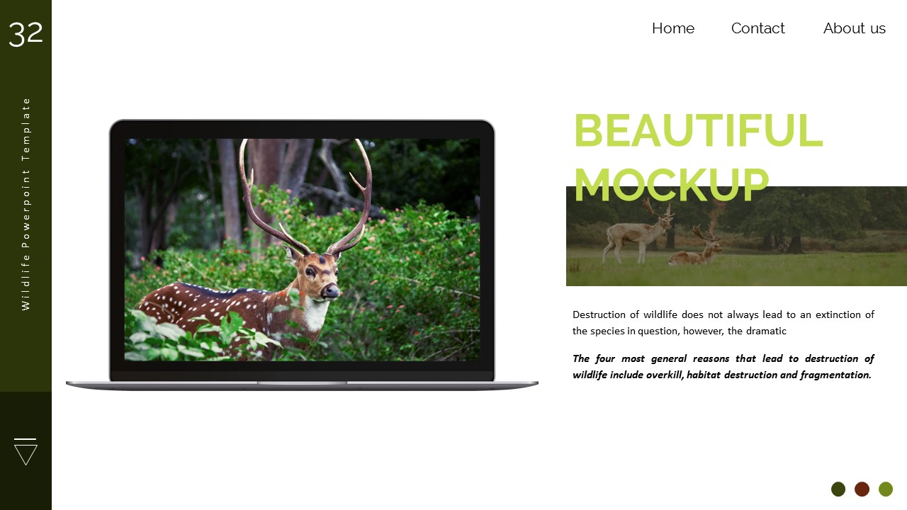 Wildlife Animal Presentation Template, Presentation Templates ...