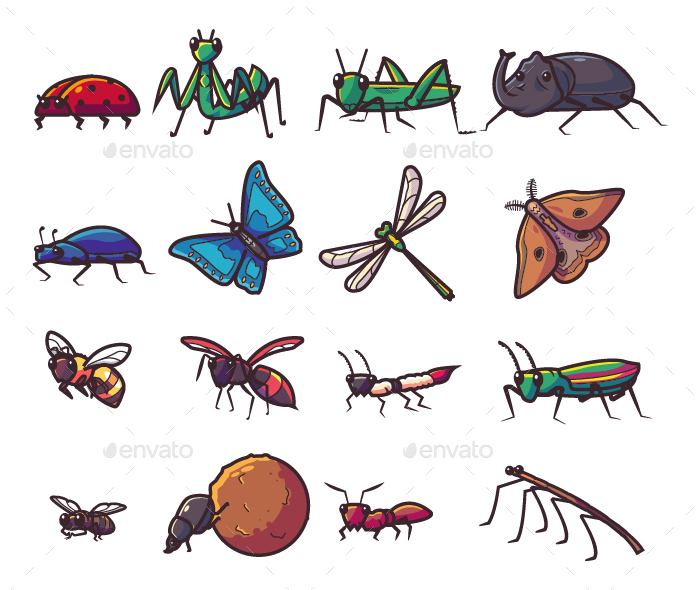 Insect Collection, Vectors | GraphicRiver