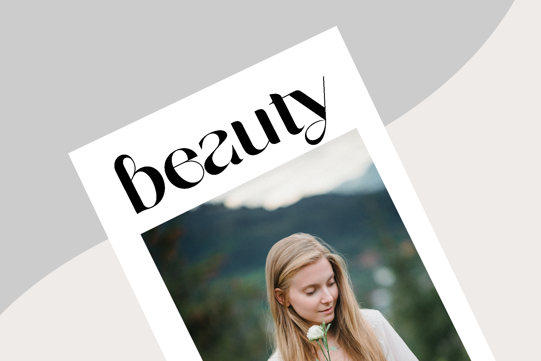 Monea Alegante, Fonts | GraphicRiver