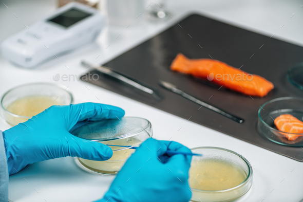 Microbiological Quality Assessment - Testing Salmon Fish Sample Stock ...