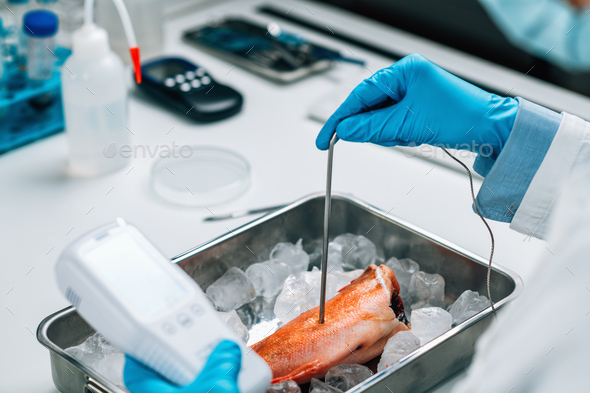 Food Quality Control Inspection of Sea Fish - Measuring Concentrations ...