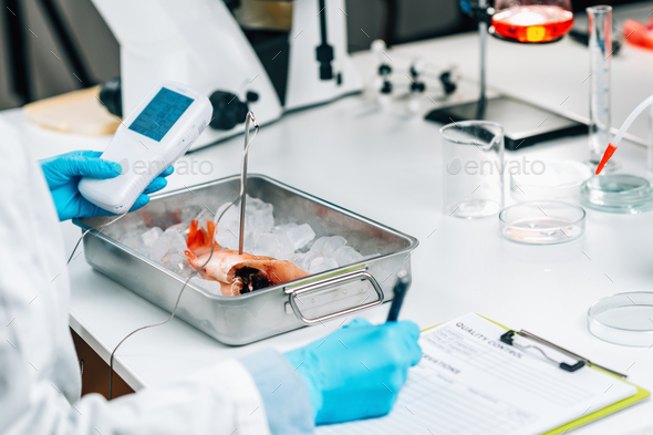 Food Quality Control Inspection of Sea Fish - Measuring Concentrations ...