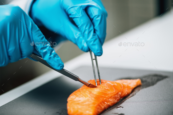 Food Quality Control of Sea Fish Stock Photo by microgen | PhotoDune
