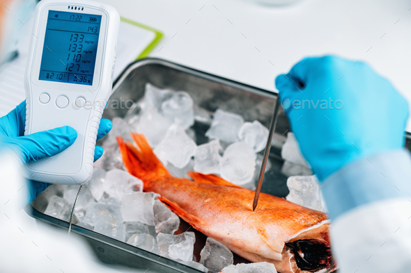 Food Quality Control Inspection of Sea Fish - Measuring Concentrations ...