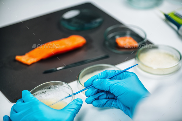 Microbiological Quality Assessment - Testing Salmon Fish Sample Stock ...