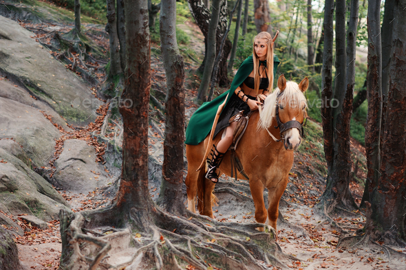 Female elf in the forest with her horse Stock Photo by serhiibobyk
