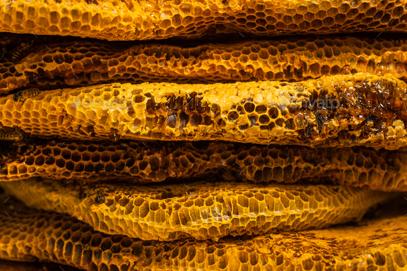 Close-Up Of Honey Bee Comb,honeycomb pattern with Bee nest Stock Photo ...