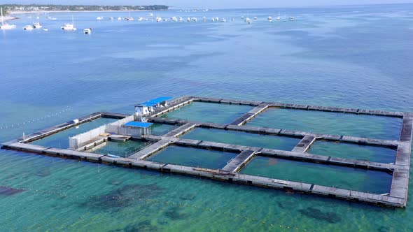 Aerial arc around Dolphin Island Park in Punta Cana; dolphin enclosures ...