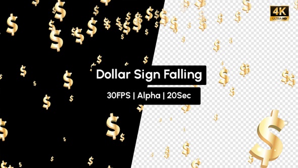 Dollar Sign Falling with Alpha, Motion Graphics | VideoHive