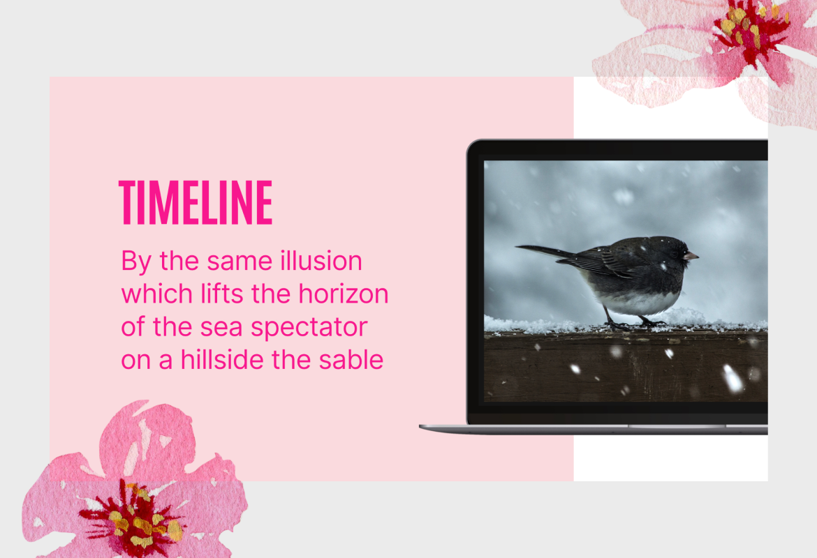 Bento - Powerpoint Presentation Template, Presentation Templates ...