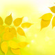 Nature background with autumn yellow leaves , Vectors | GraphicRiver