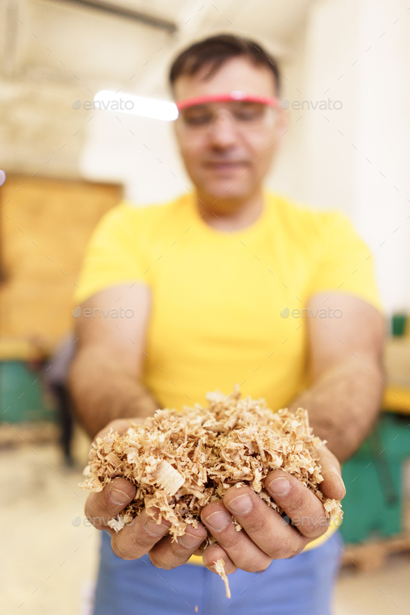 Man holds in his hand sawdust Stock Photo by diignat | PhotoDune