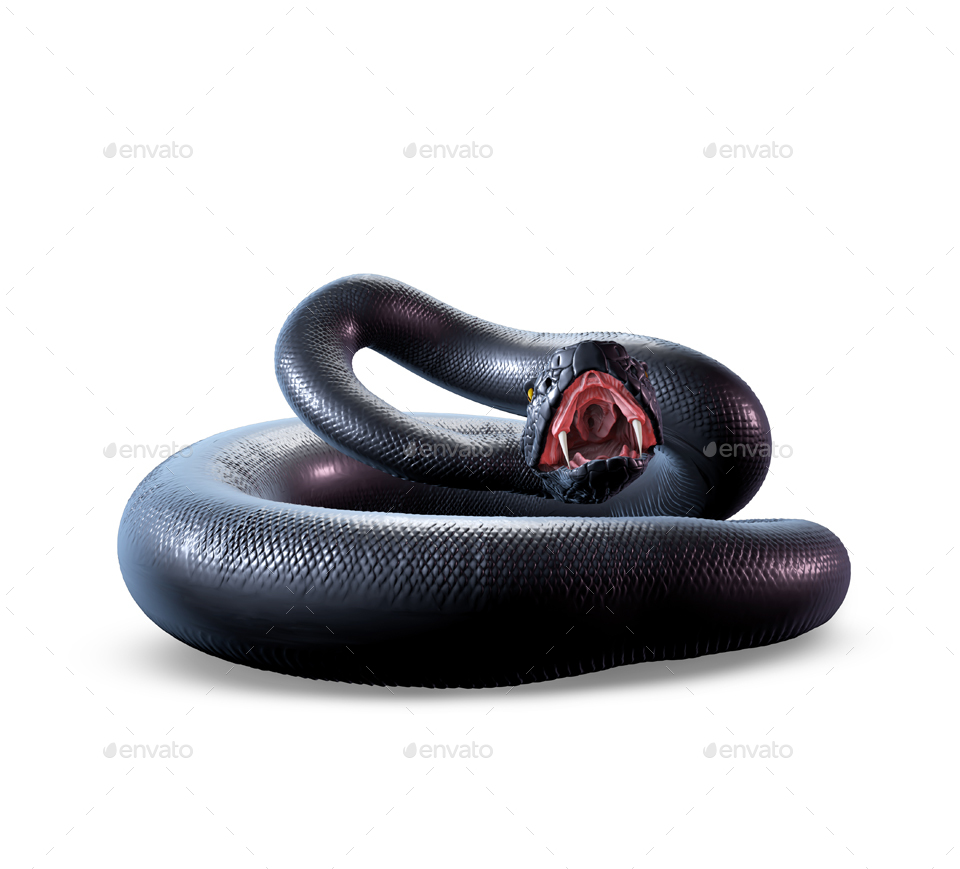 Black Snake 3D Renders, Graphics | GraphicRiver