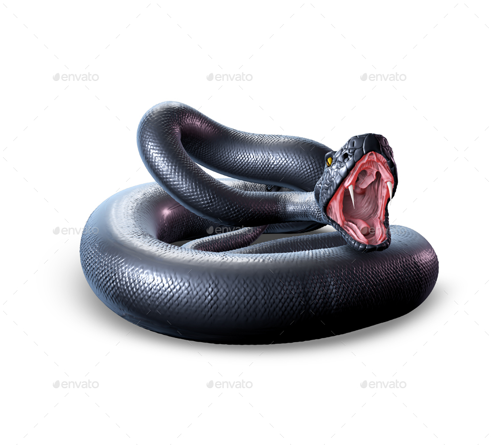 Black Snake 3D Renders, Graphics | GraphicRiver