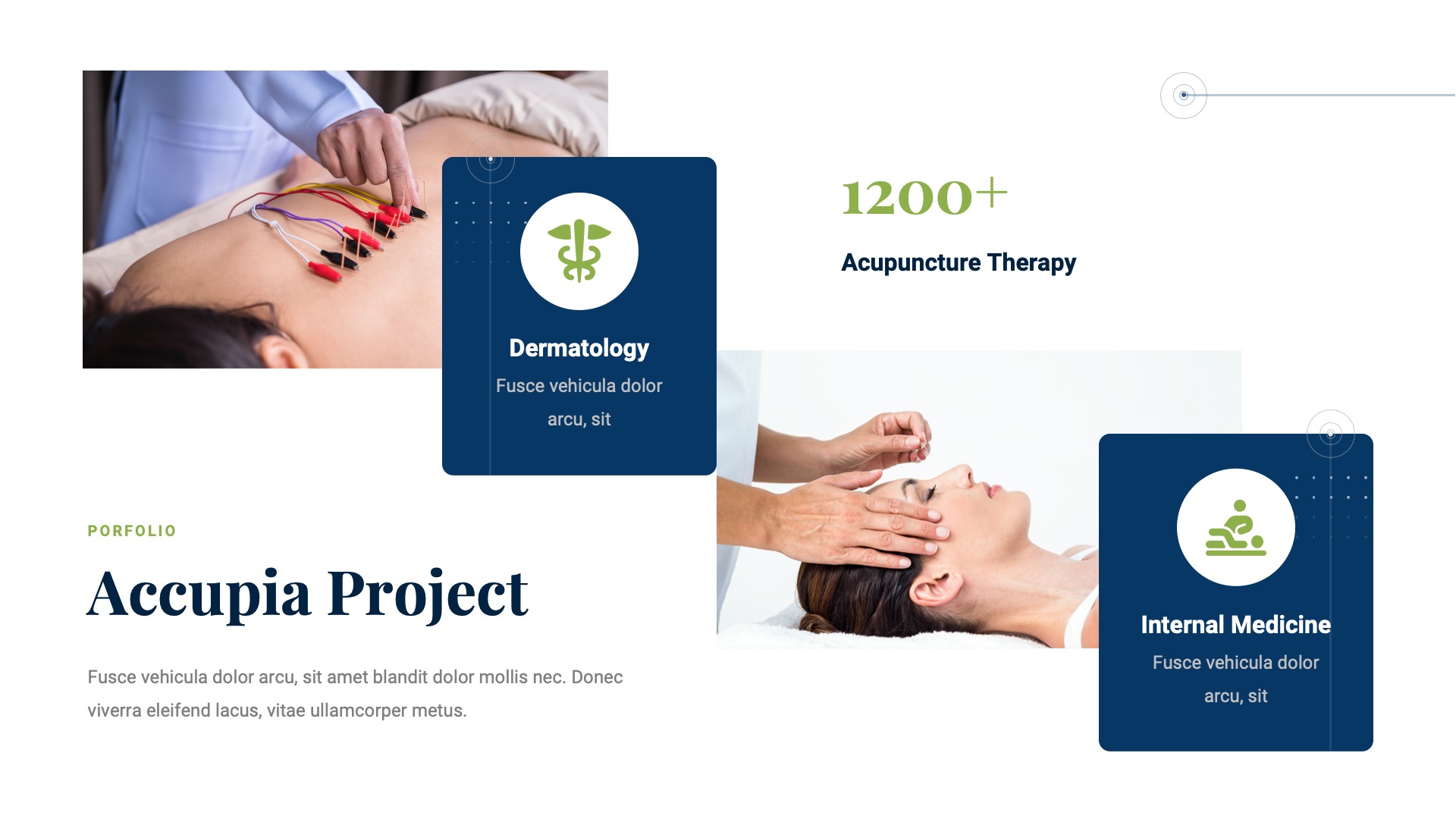 Accupia - Acupuncture & Alternative Medicine Powerpoint Template ...