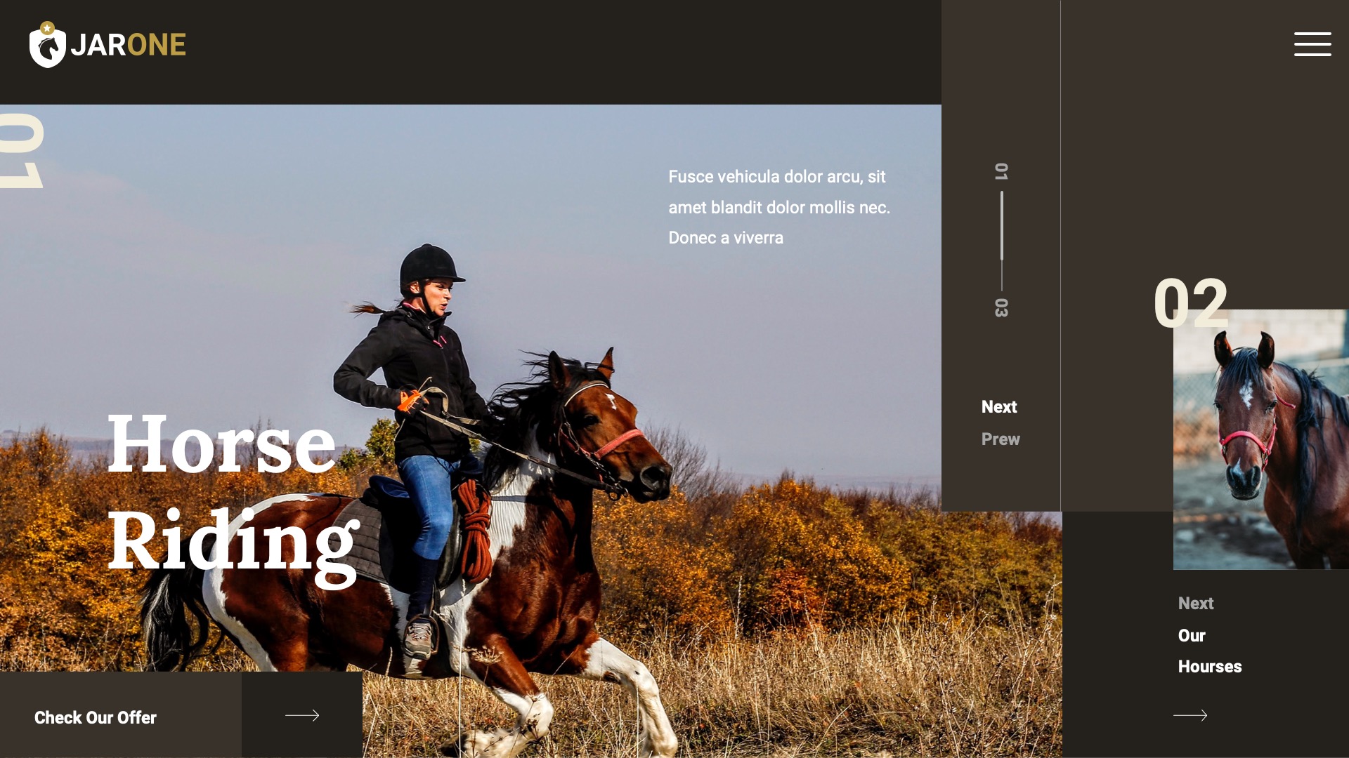 JARONE - Equestrian & Horse Riding Club Google Slides Template ...