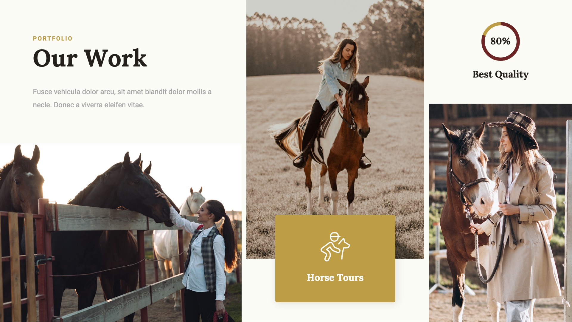 JARONE - Equestrian & Horse Riding Club Google Slides Template ...