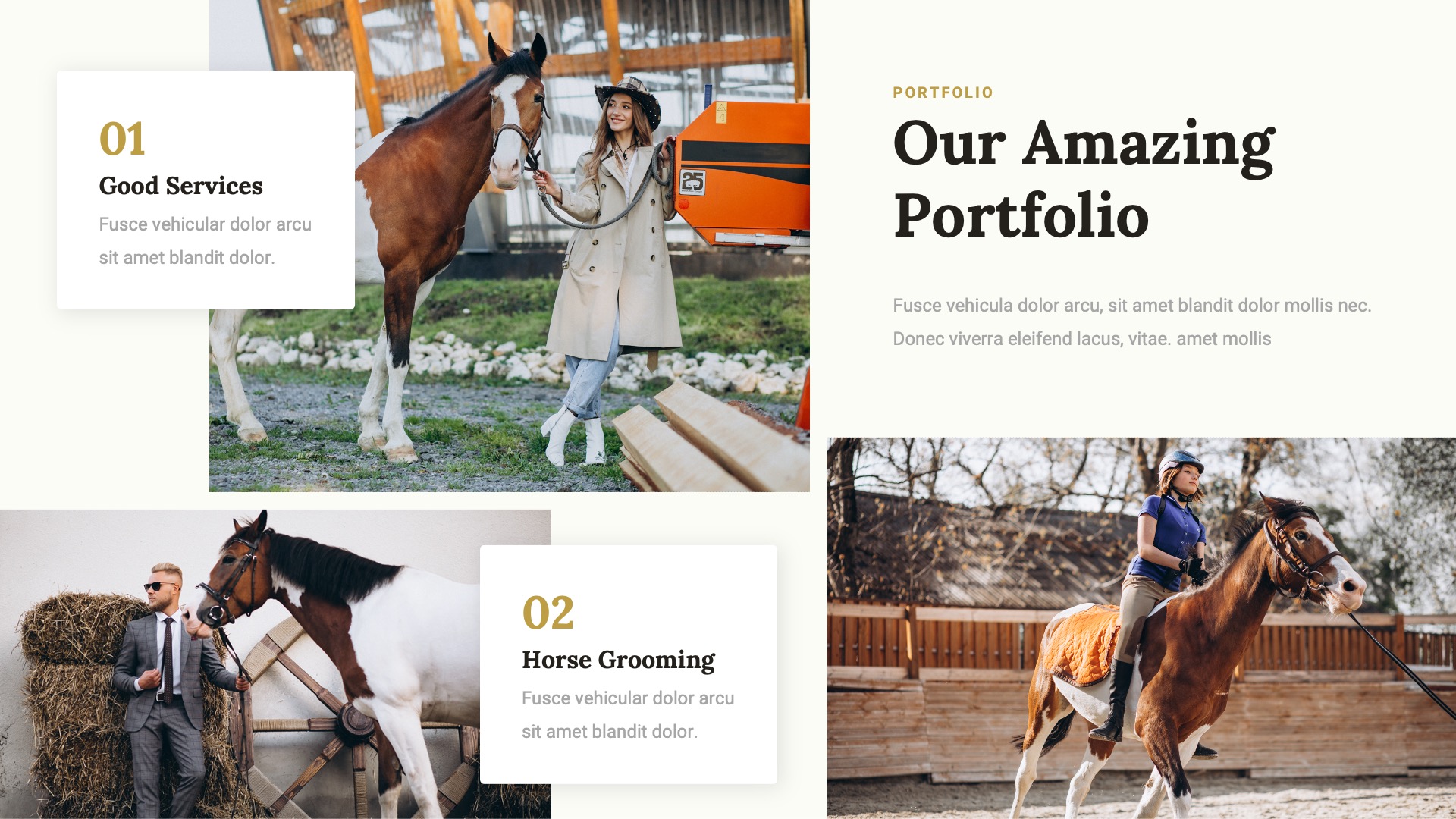 JARONE - Equestrian & Horse Riding Club Google Slides Template ...