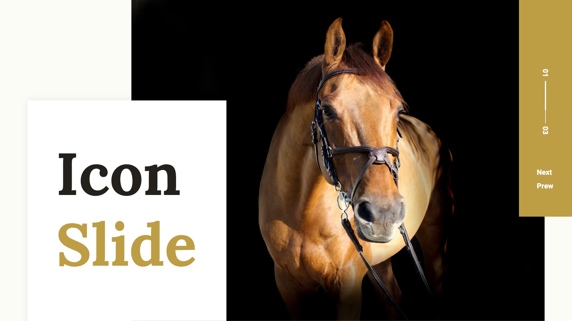 JARONE - Equestrian & Horse Riding Club Google Slides Template ...
