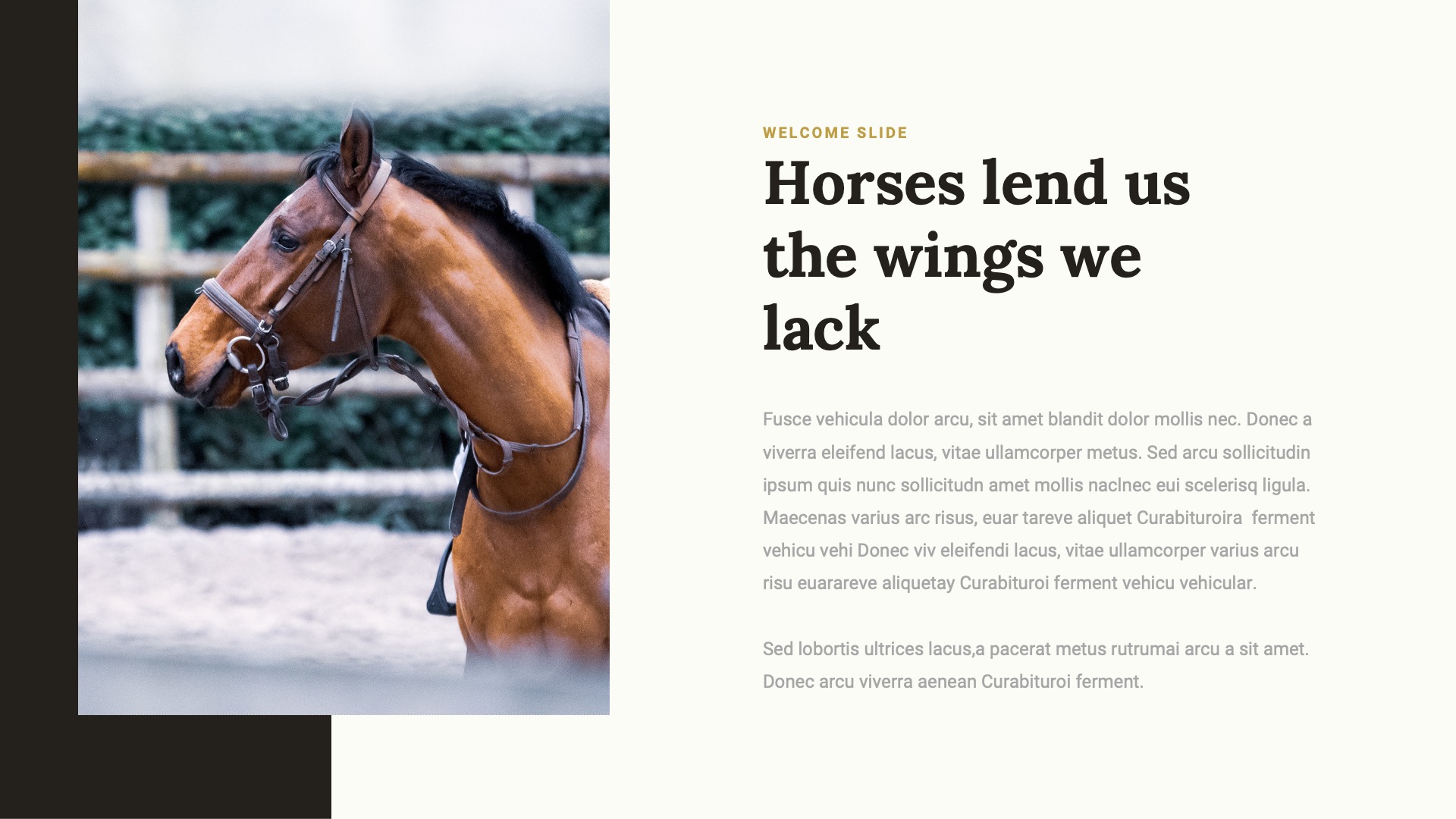 JARONE - Equestrian & Horse Riding Club Google Slides Template ...