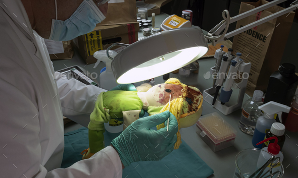 Forensic scientist takes dna sample from a bloody doll Stock Photo by ...