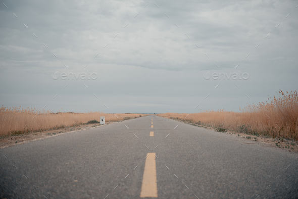 Road in the wild Stock Photo by liufuyu | PhotoDune