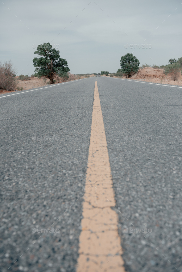 Road in the wild Stock Photo by liufuyu | PhotoDune