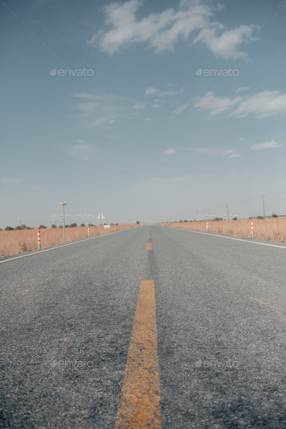 Road in the wild Stock Photo by liufuyu | PhotoDune