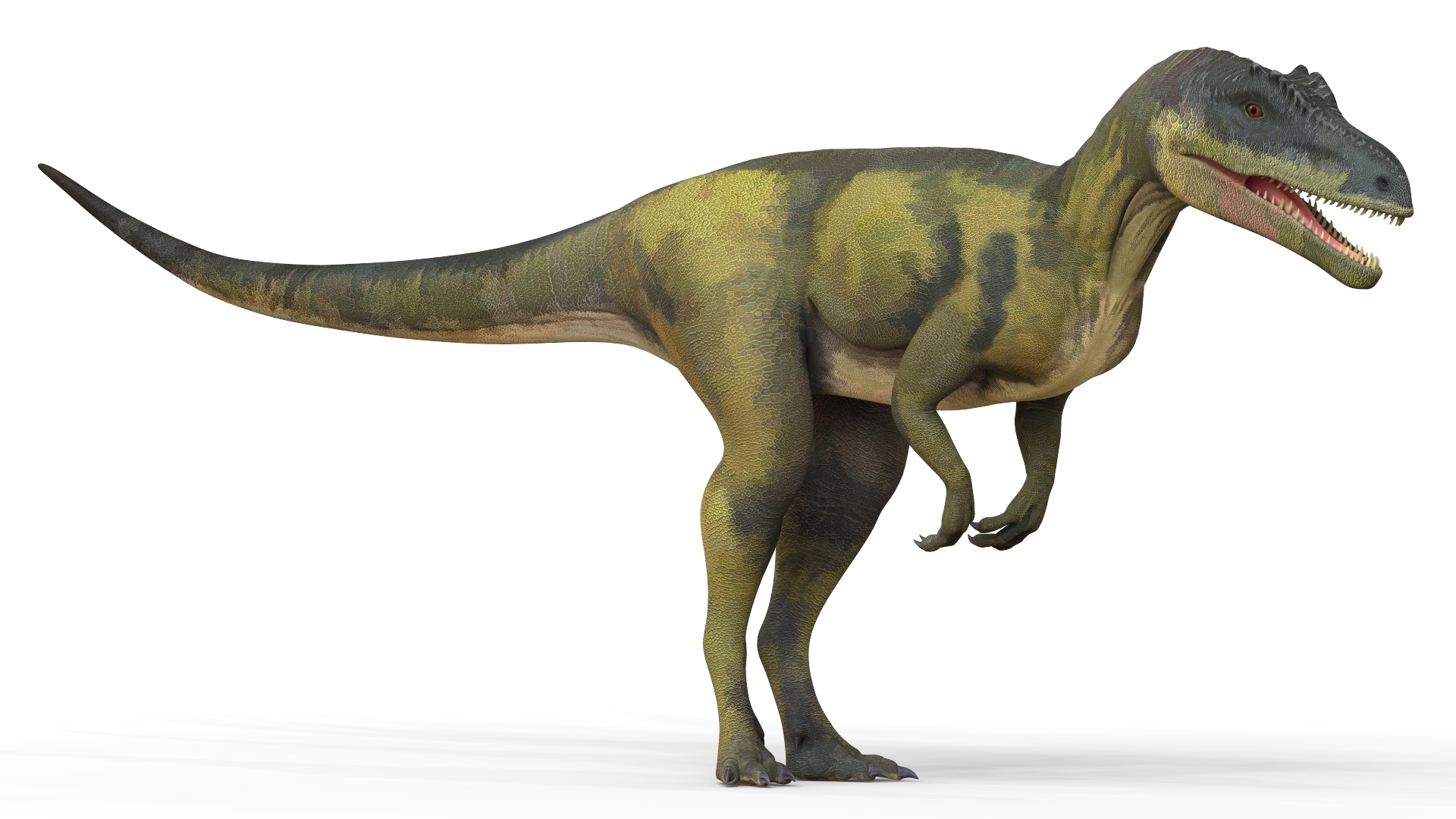 Deltadromeus Dinodaur With PBR Textures by creativejungle007 | 3DOcean
