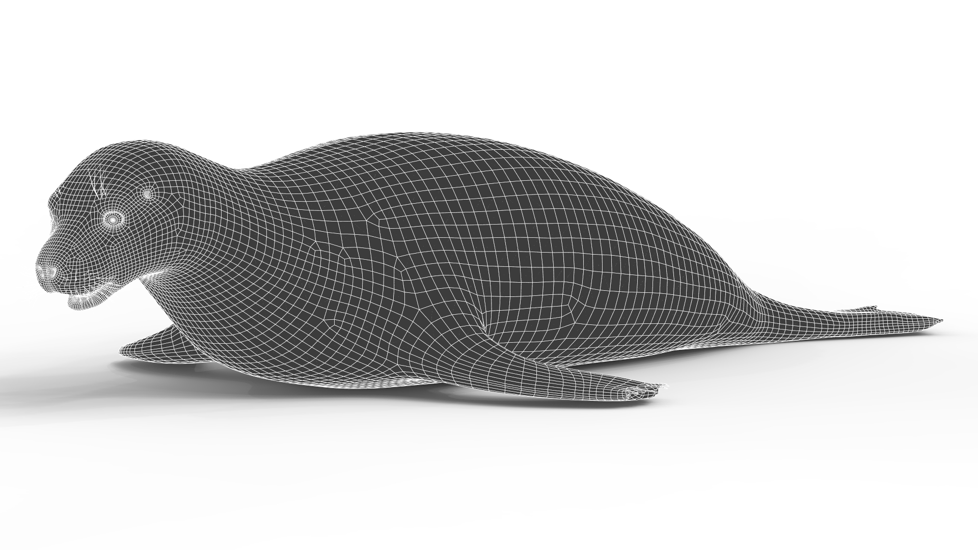 Seal With PBR Textures by creativejungle007 | 3DOcean