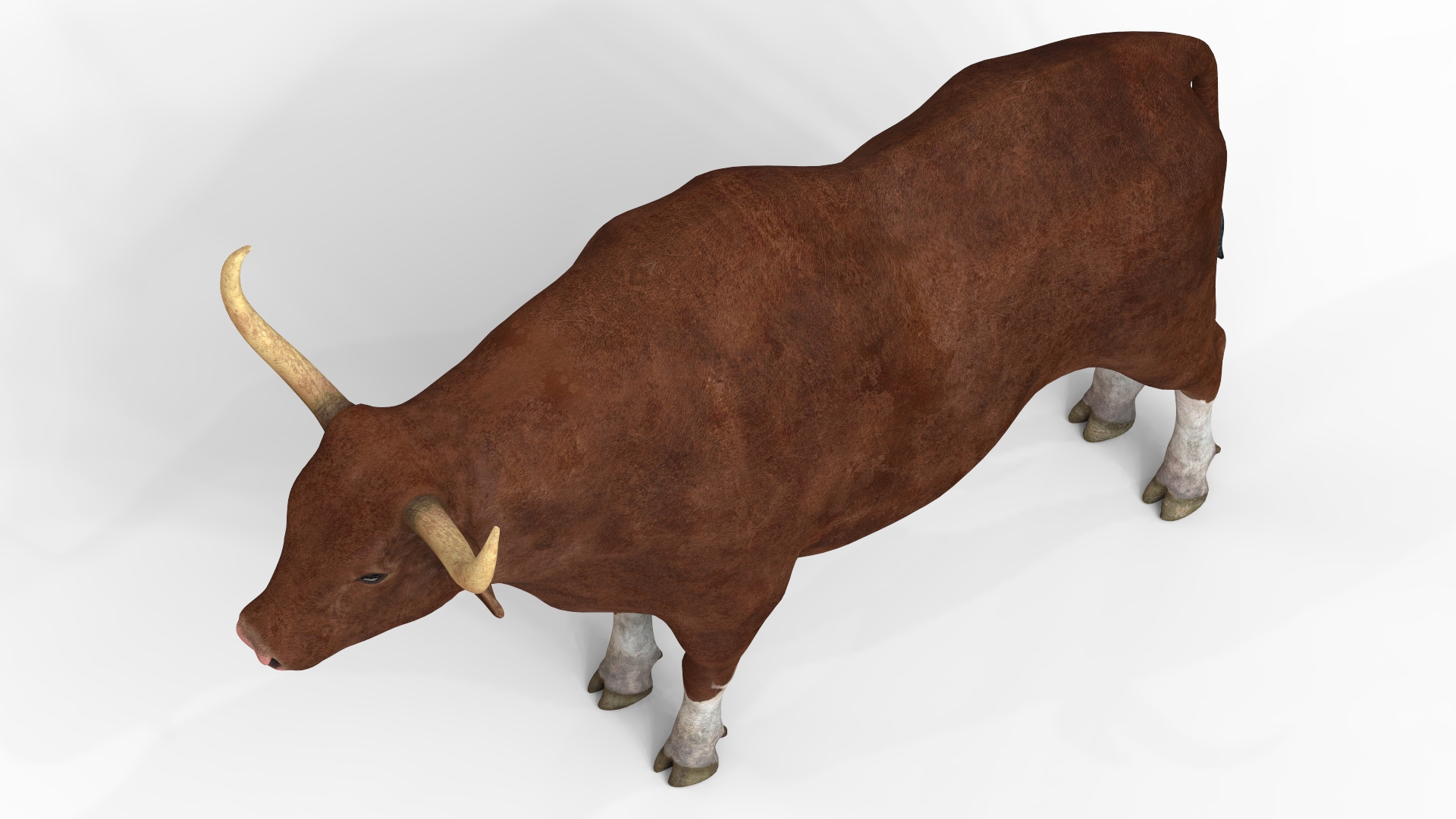 Bull With PBR Textures by creativejungle007 | 3DOcean