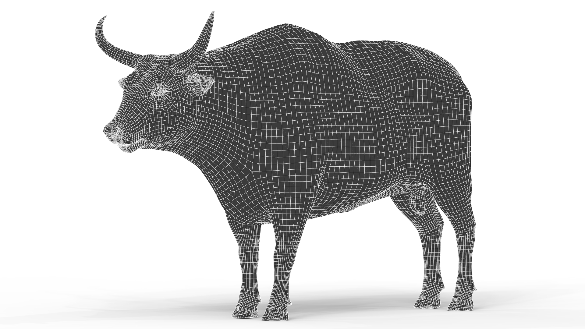Bull With PBR Textures by creativejungle007 | 3DOcean
