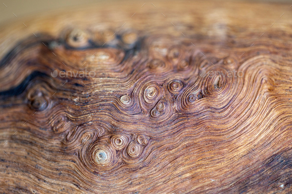 Oak wood with beautiful knots, natural background Stock Photo by fotyma