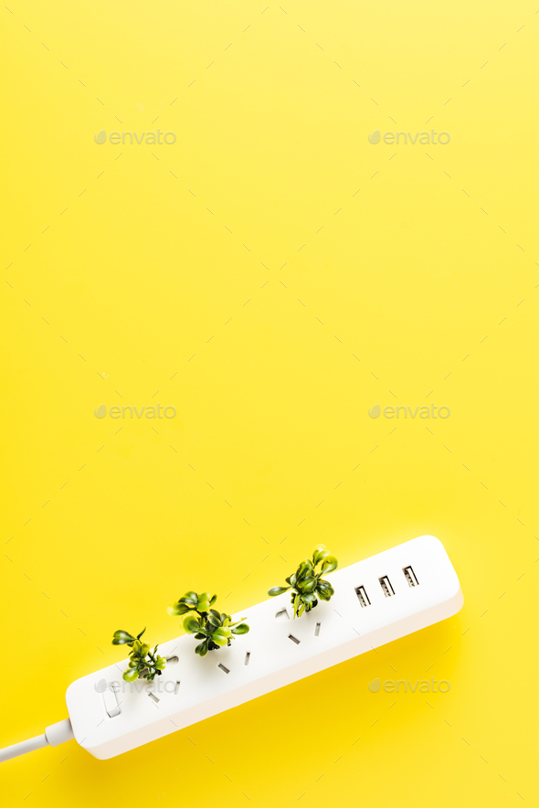 top view of socket outlet with green twigs on yellow background ...