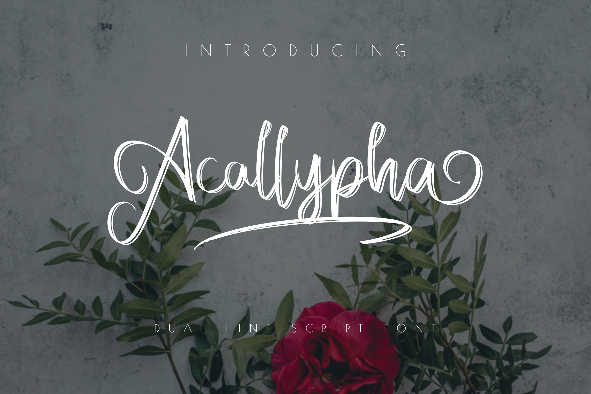 Acallypha Handwritten Font, Fonts | GraphicRiver