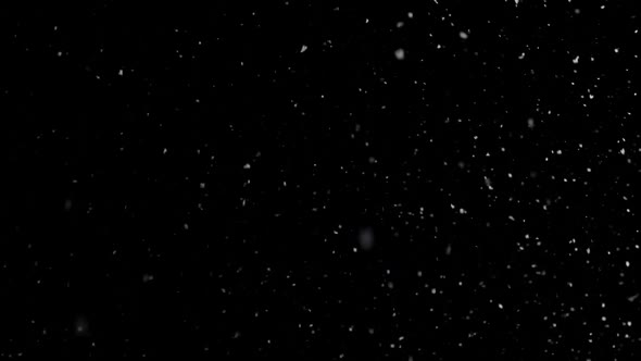 Falling snow. snowy weather. White flakes of snow in the dark., Stock ...