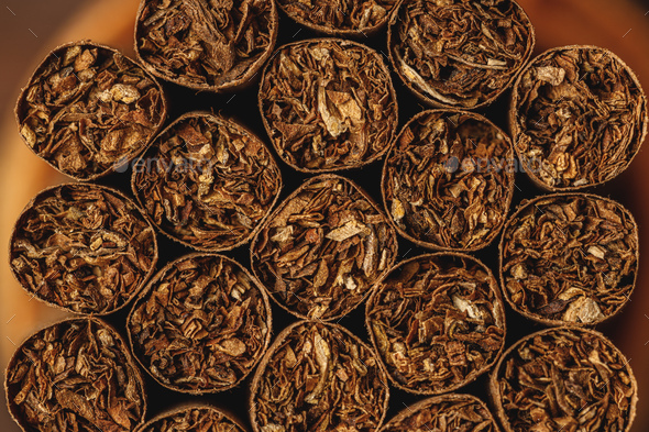 Pile of new cigars close up on wooden table Stock Photo by FabrikaPhoto