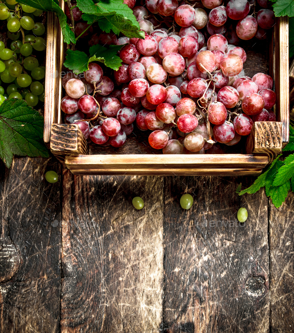 Red grapes in an old box. Stock Photo by Artem_ka | PhotoDune