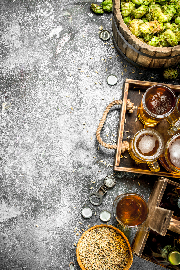 Beer background. Fresh beer with ingredients. Stock Photo by Artem_ka