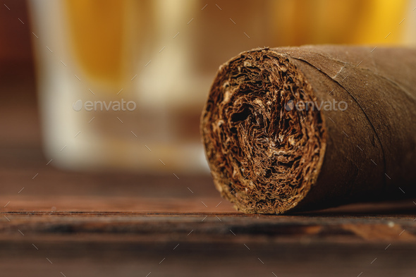 Front side of a cigar close up tobacco Stock Photo by FabrikaPhoto