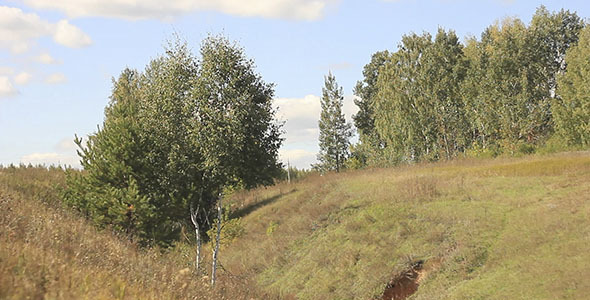 Trees In The Ravine 2, Stock Footage | VideoHive