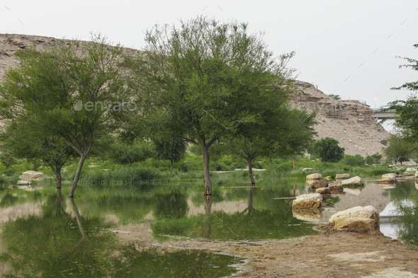Wadi Hanifah, Riyadh Stock Photo by iiMOHAMMEDii | PhotoDune