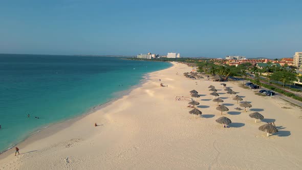 Palm Beach Aruba Amazing Tropical Beach with Palm Tree Entering the ...