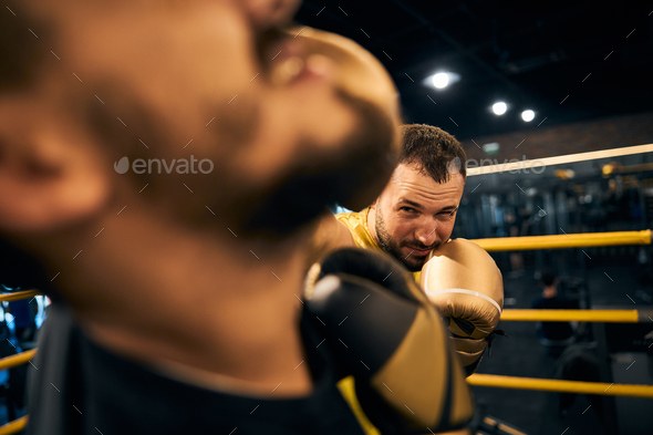 Boxer falling after receiving a precise hit to the head Stock Photo by ...