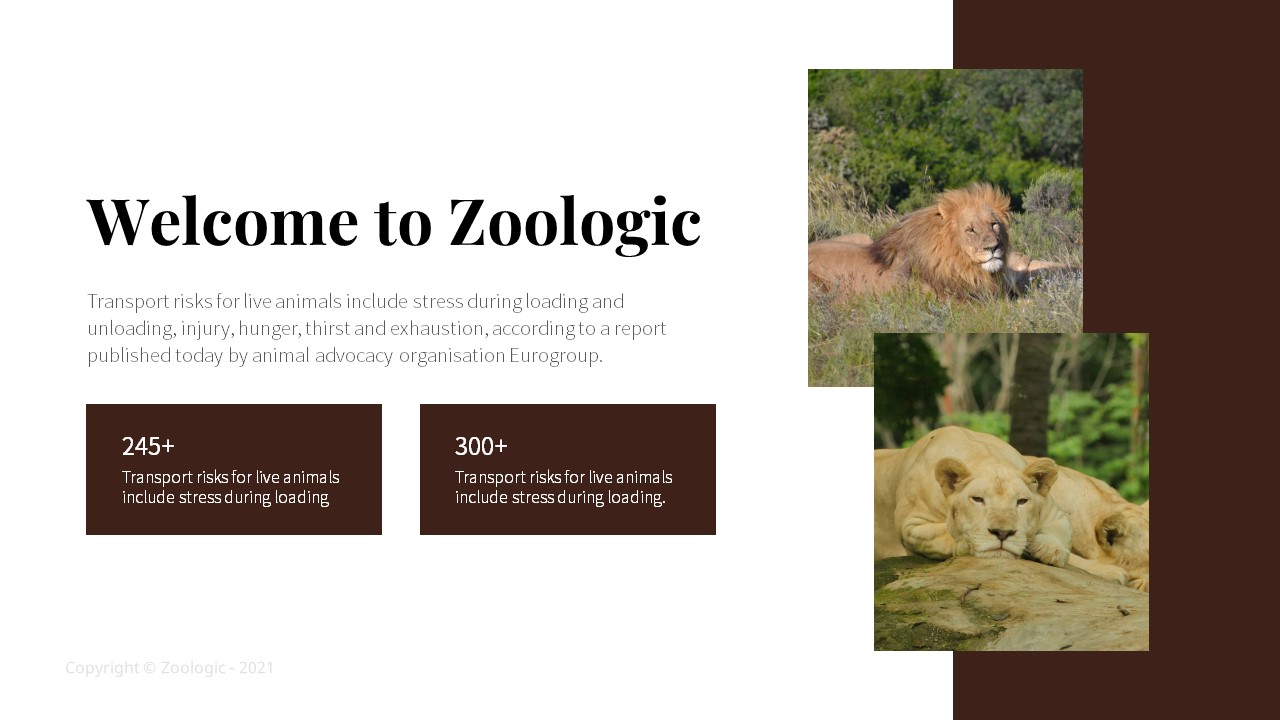 Zoologic Animal Presentation Template, Presentation Templates ...
