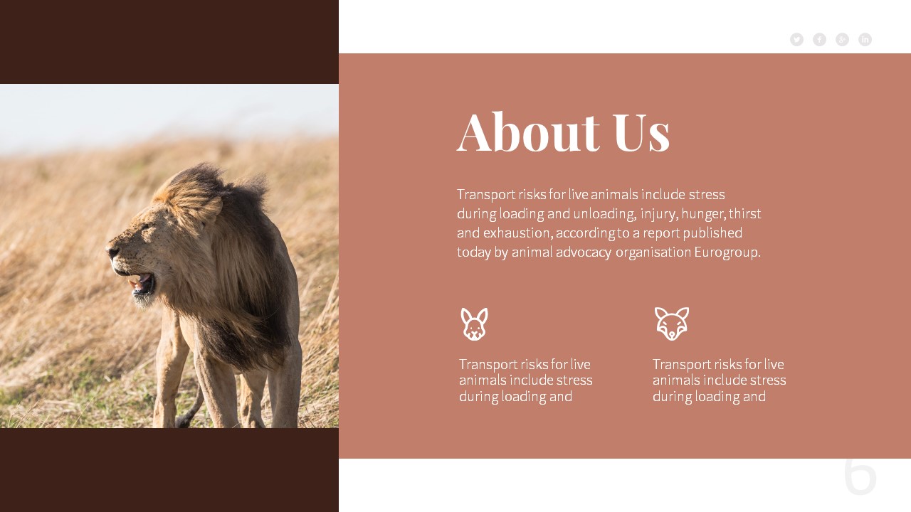 Zoologic Animal Presentation Template, Presentation Templates ...